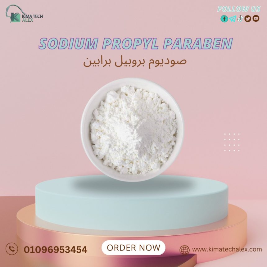 صوديوم ميثيل برابين Sodium Methyl Paraben - Cosmetics Material